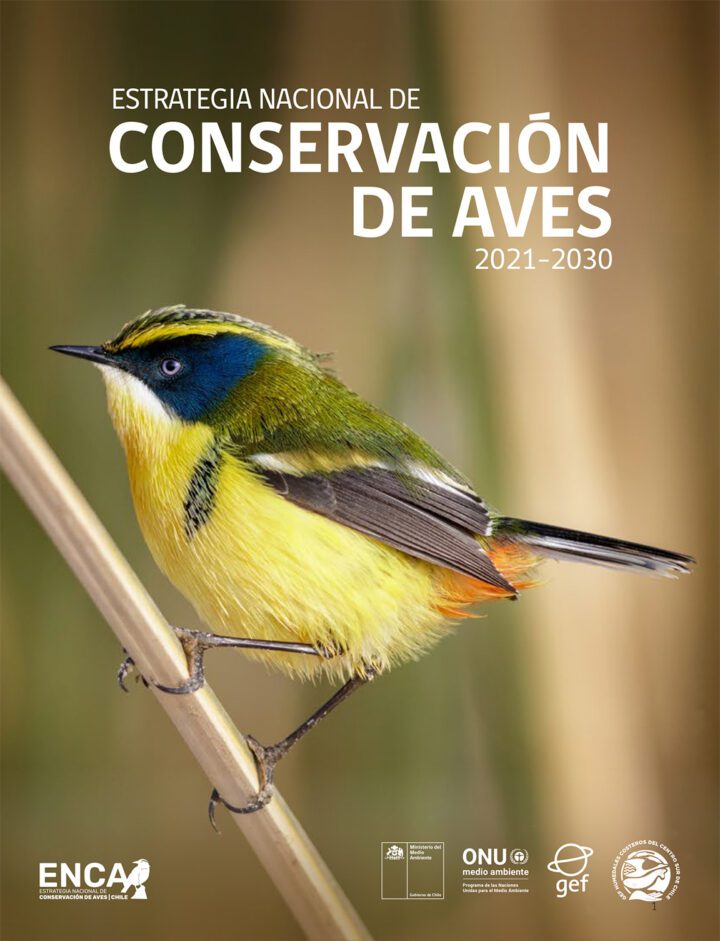 Bird Conservation Plans – Coastal Solutions Fellows Program